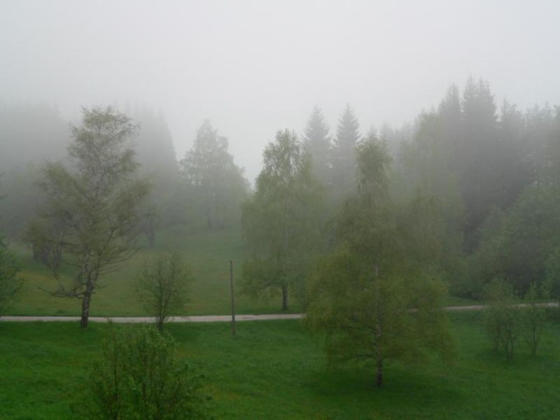 Когато облаците докоснат земята | Author Dimitar Sotirov - sotira ...