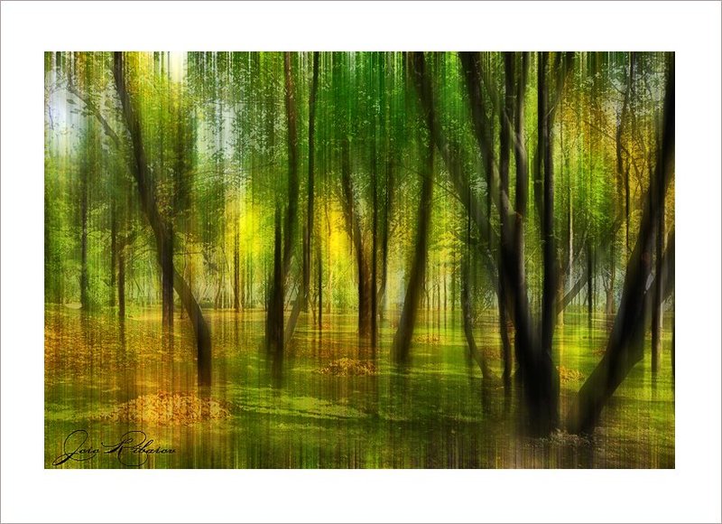 Есенно | Author Georgi Ribarov - Djoro | PHOTO FORUM