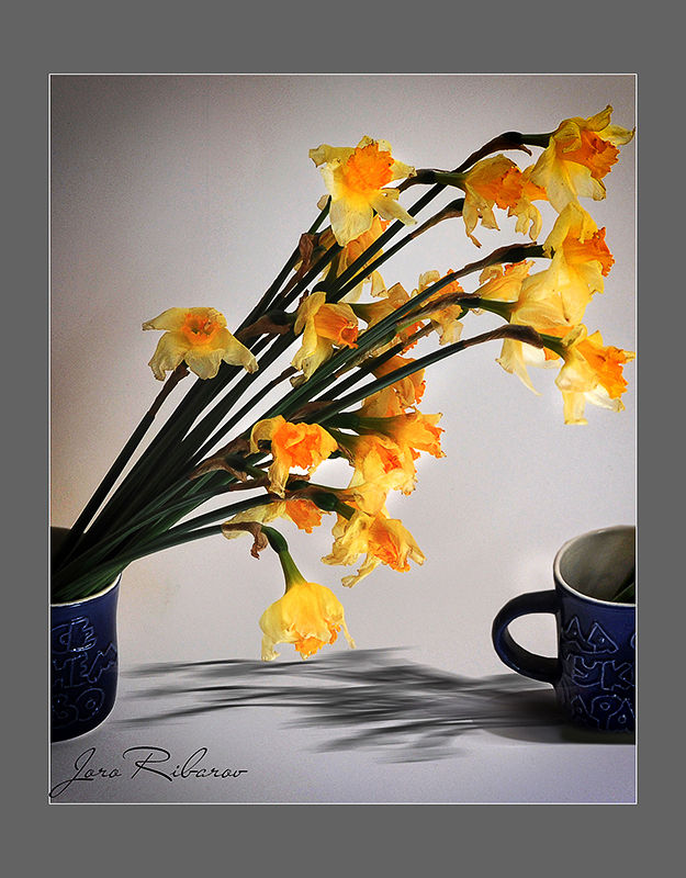 „Любопитство”, тематичен натюрморт | Author Georgi Ribarov - Djoro ...