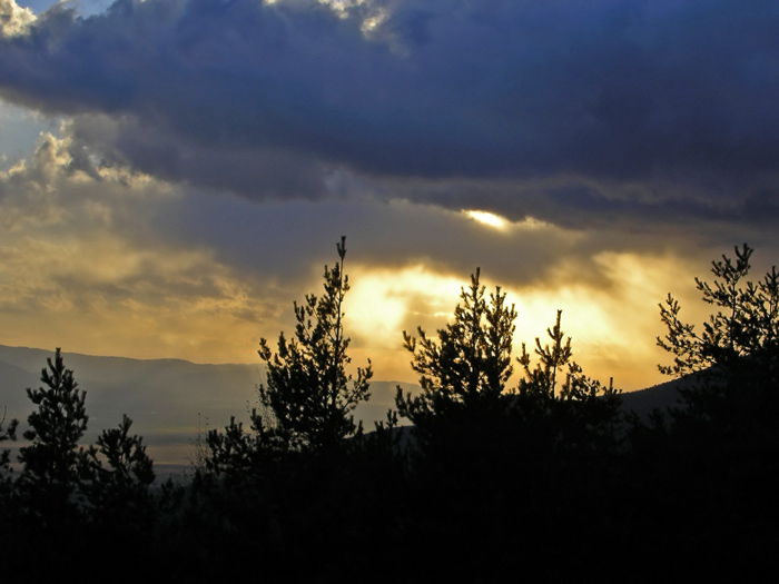 Photo in Nature | Author Momchil Dimitrov - arakis | PHOTO FORUM