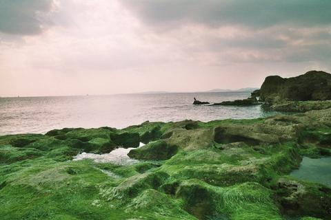 kormoran | Author Georgi Radev - jororadev | PHOTO FORUM