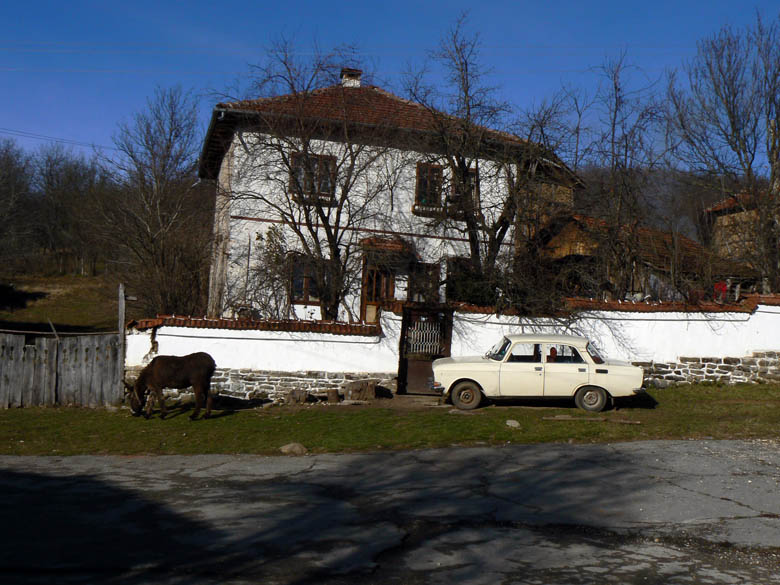 Магаре или Москвич | Author Dimitar Genchev - bogy82 | PHOTO FORUM