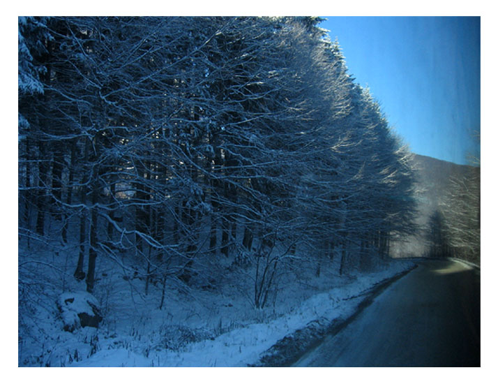 Photo in Debut | Author irina mihaylova - irusha | PHOTO FORUM