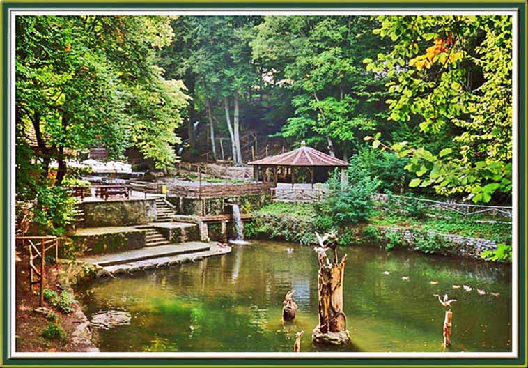 Ezeroto- Vili Kostenec | Author Ramune Malkovska - Ramune | PHOTO FORUM