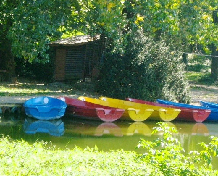 Photo in Debut | Author Vaya Puseva - VaYaR | PHOTO FORUM