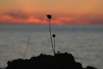 Photo in Debut | Author ivanka dimitrova - raanavania | PHOTO FORUM