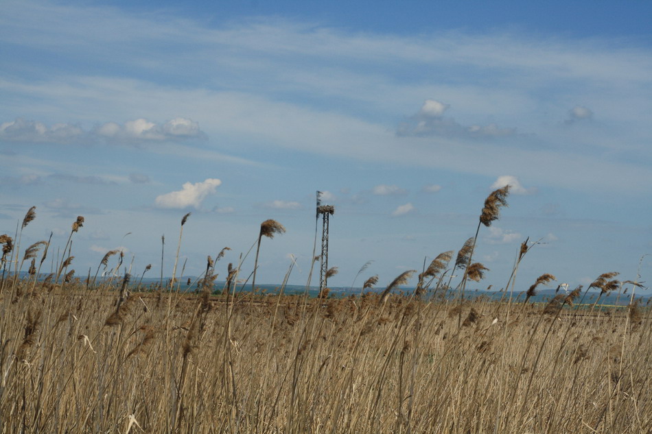 Photo in Debut | Author Nikolay Boychev - kernel84 | PHOTO FORUM