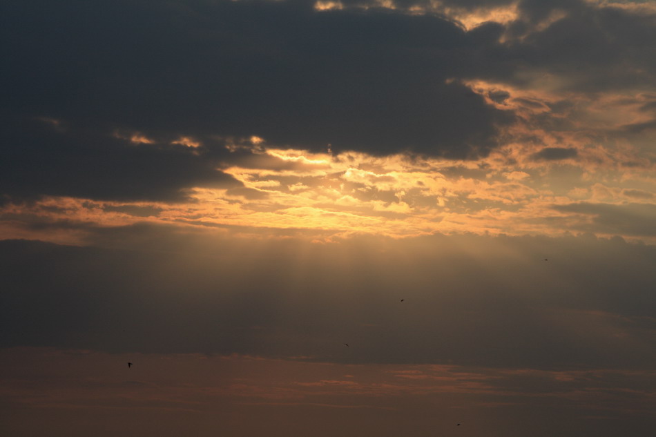 b | Author Nikolay Boychev - kernel84 | PHOTO FORUM