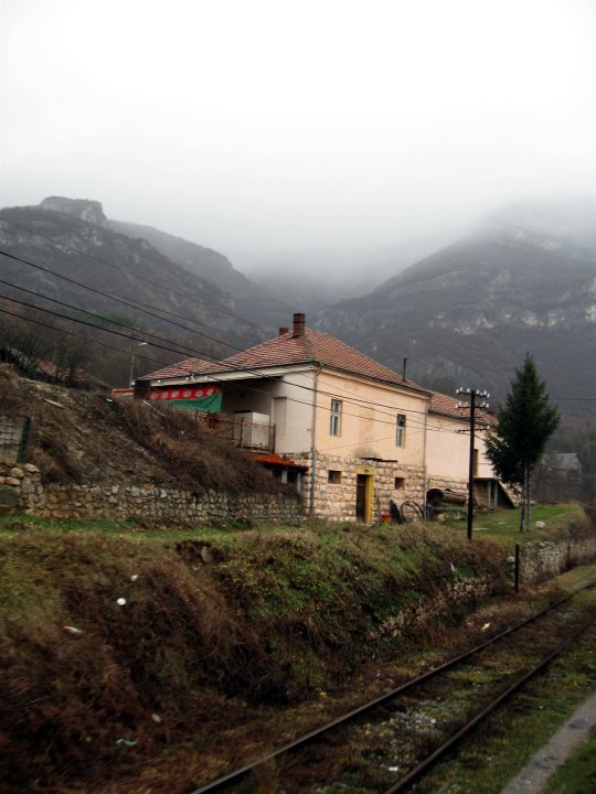 Author Biljana Vasic - snegulka | PHOTO FORUM