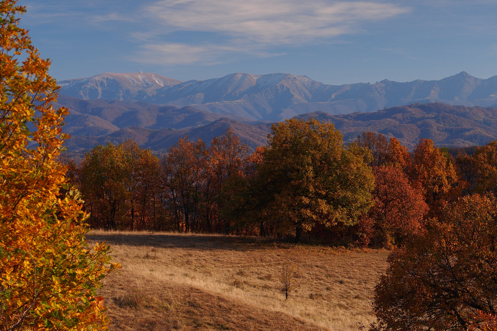 Photo in Nature | Author Milko Minkov - Chenko | PHOTO FORUM